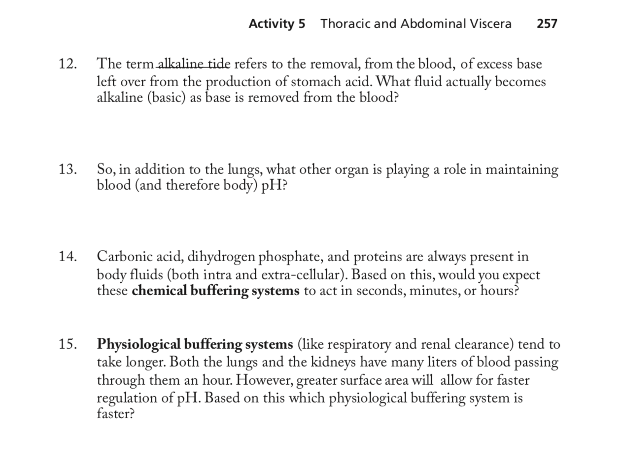 Solved Activity 5 Thoracic and Abdominal Viscera 257 12. The | Chegg.com