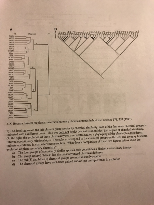 Solved Tree thinking quiz D. A. Baum, S. D. Smith, and S. D. | Chegg.com