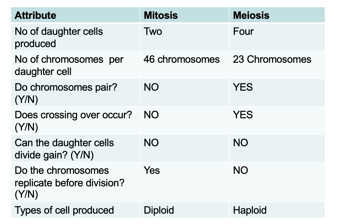 Solved I just want to make sure that this is correct! I took | Chegg.com