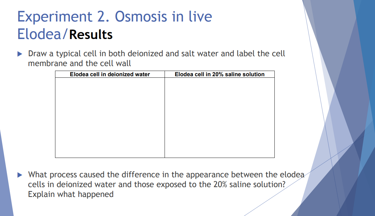 Solved Draw a typical cell in both deionized and salt water | Chegg.com