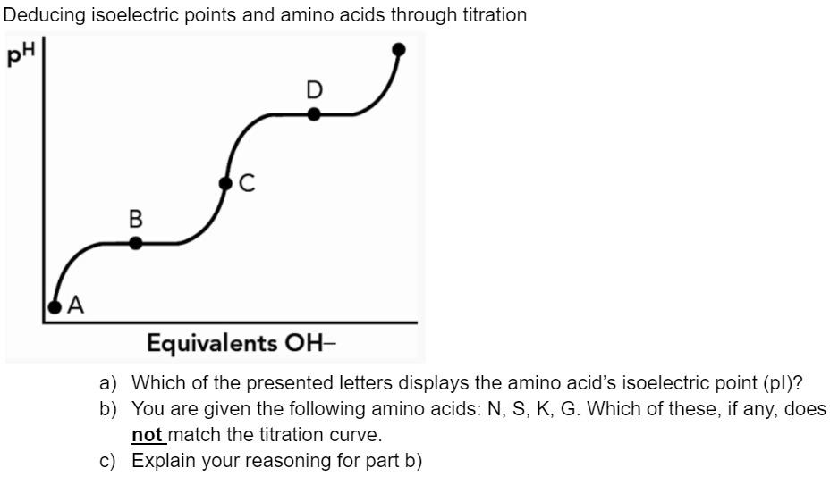 Solved Deducing isoelectric points and amino acids through | Chegg.com
