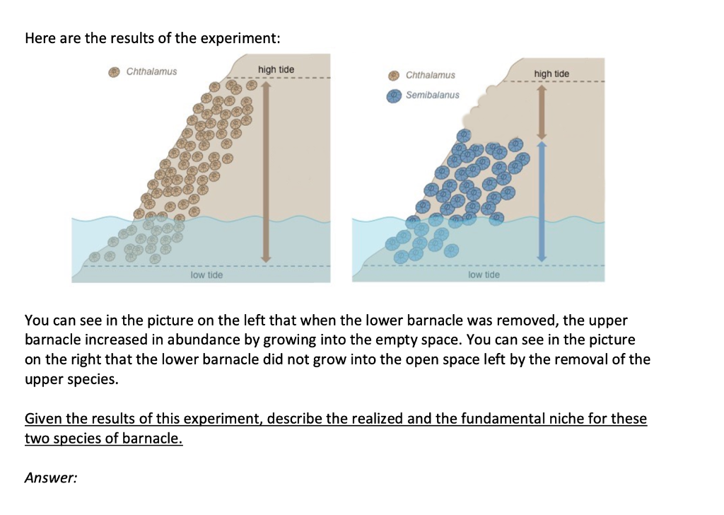 Solved Fundamental and Realized Niches in Barnacles | Chegg.com