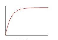 Solved Which of the following graphs correctly portrays | Chegg.com