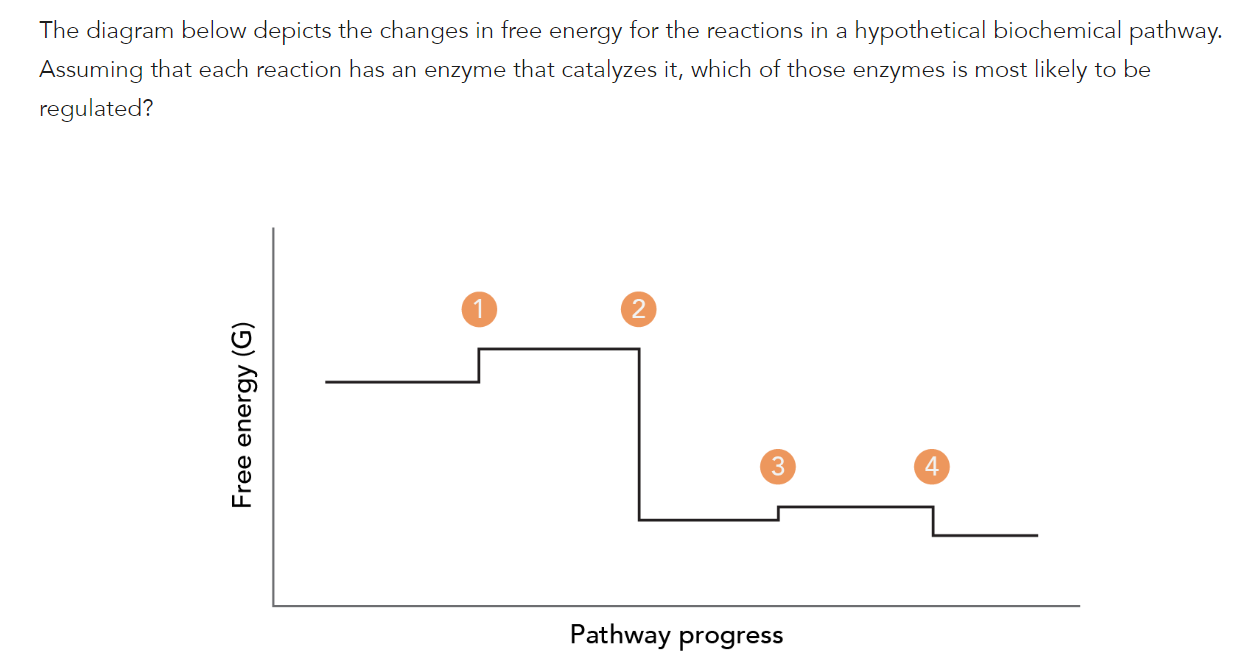 Solved The diagram below depicts the changes in free energy | Chegg.com