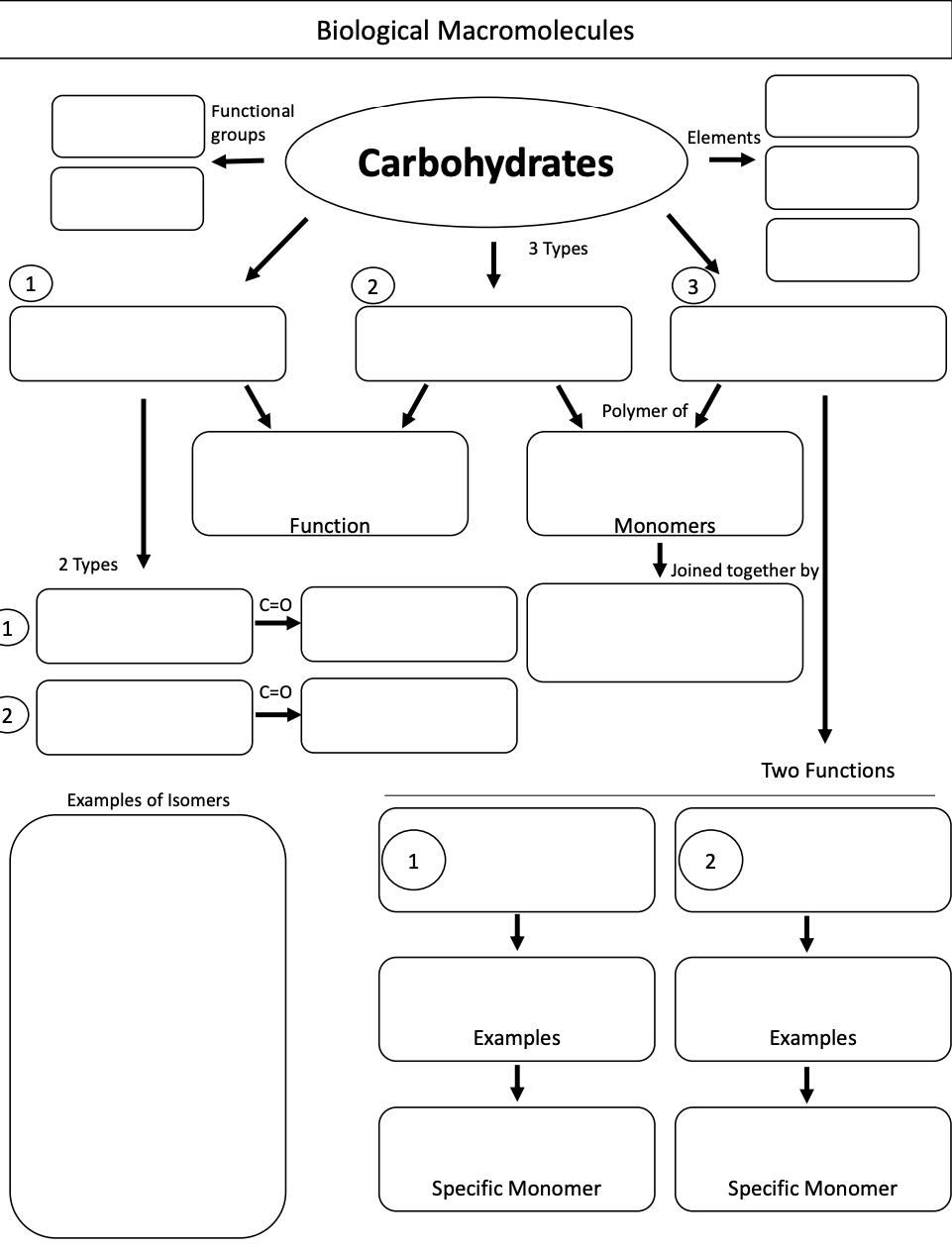 Solved Biological Macromolecules | Chegg.com