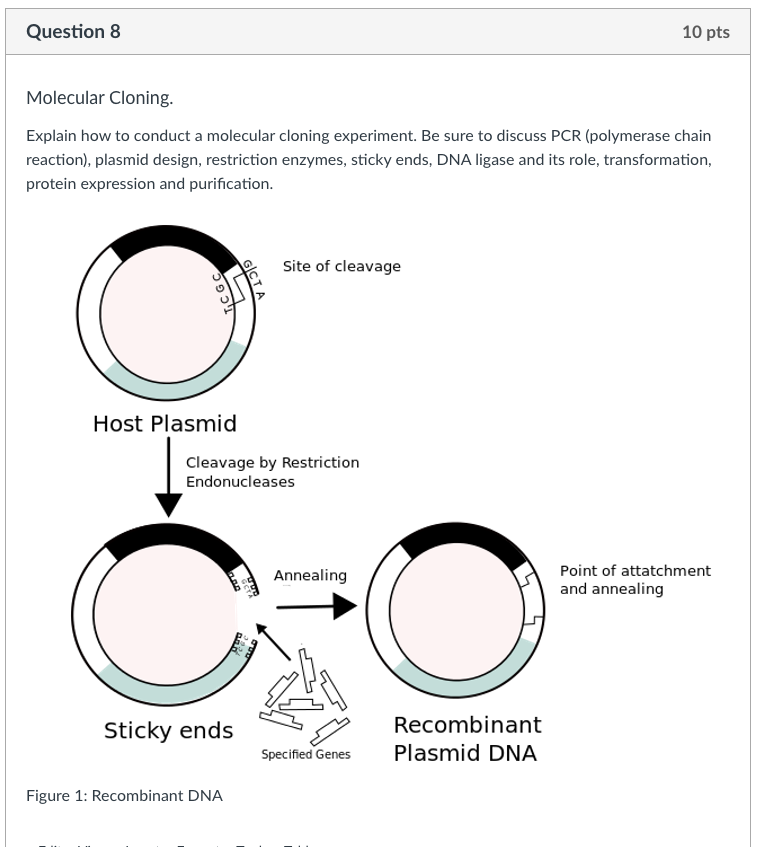 Solved Molecular Cloning. Explain how to conduct a molecular | Chegg.com