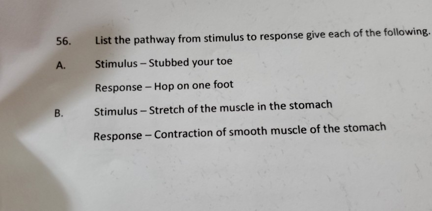 Solved 56. List the pathway from stimulus to response give | Chegg.com