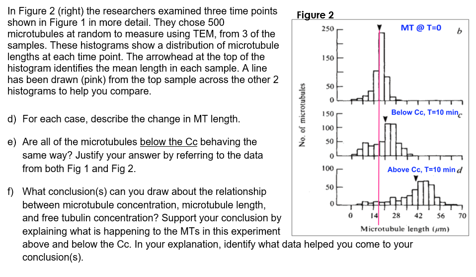 Prior to the development of live cell imaging | Chegg.com