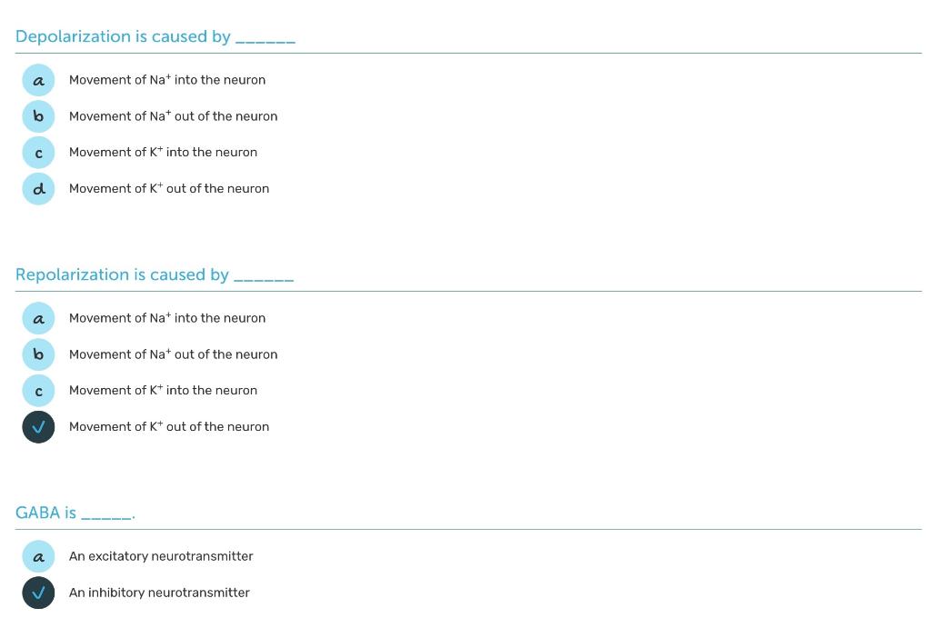 Solved Depolarization Is Caused By A Movement Of