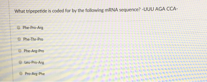 Solved What tripepetide is coded for by the following mRNA | Chegg.com