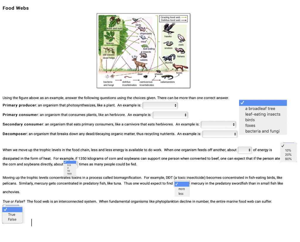 Solved Food Webs Grazing food web Detritus food web ruits | Chegg.com
