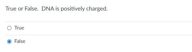 Solved True or False. DNA is positively charged. True False | Chegg.com
