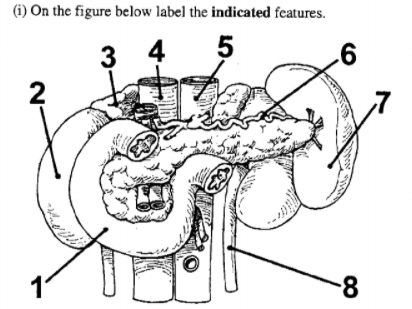 Solved (1) On the figure below label the indicated features. | Chegg.com