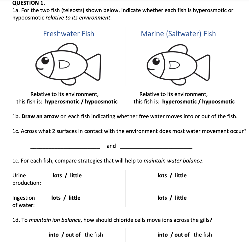 Solved QUESTION 1. 1a. For the two fish (teleosts) shown | Chegg.com