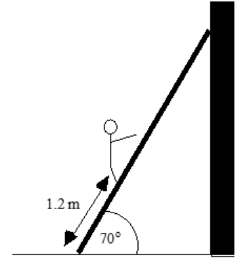 Solved A ladder is leaning against a frictionless wall as | Chegg.com