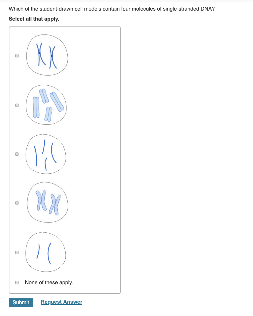 Solved Which of the student-drawn cell models contain four | Chegg.com
