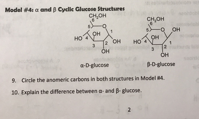 Solved Circle the anomeric carbons in both structures in | Chegg.com