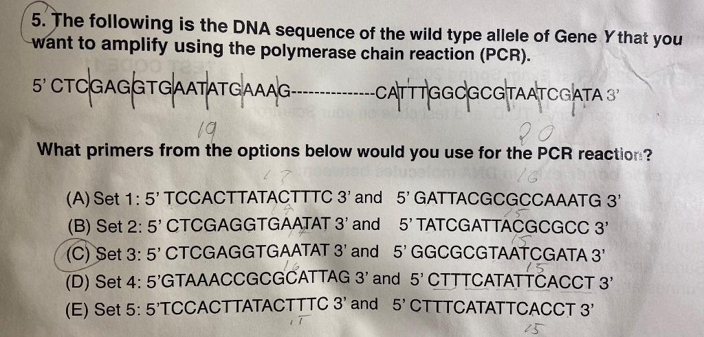 Solved 5. The following is the DNA sequence of the wild type | Chegg.com
