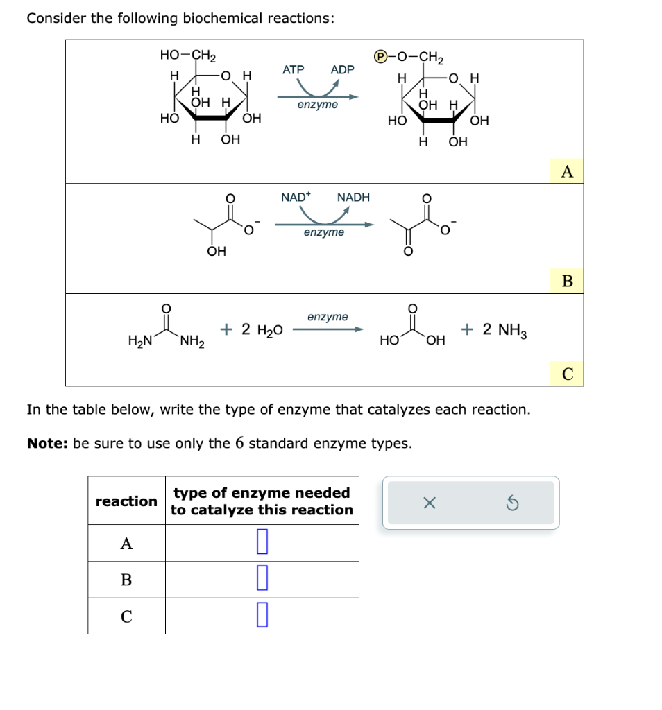 Solved Consider the following biochemical reactions: In the | Chegg.com