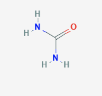 Solved For Urea select the best description... A) Urea has | Chegg.com