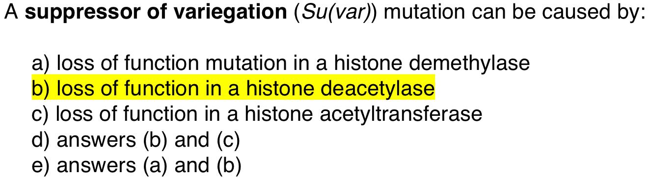 Solved A suppressor of variegation (Su(var)) mutation can be | Chegg.com