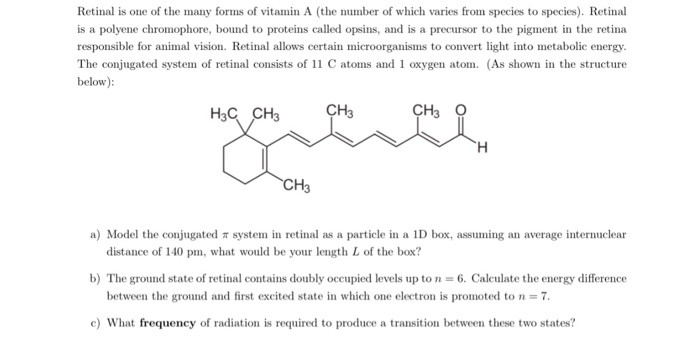 Solved Retinal is one of the many forms of vitamin A (the | Chegg.com
