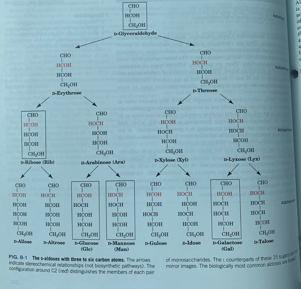 Solved Using figure 8-1 in your textbook, select the | Chegg.com Solved Using figure 8-1 in your textbook, select the | Chegg.com