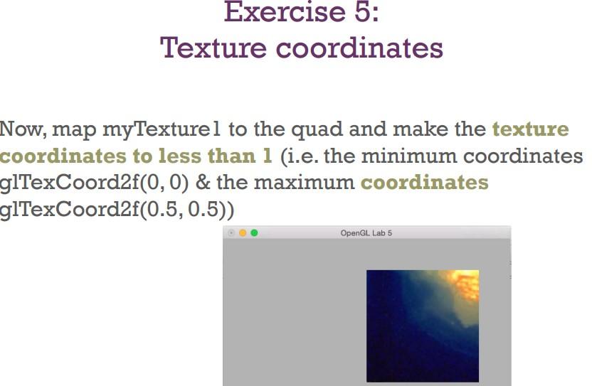 Exercise 1: OpenGL Texture Using the functions we | Chegg.com