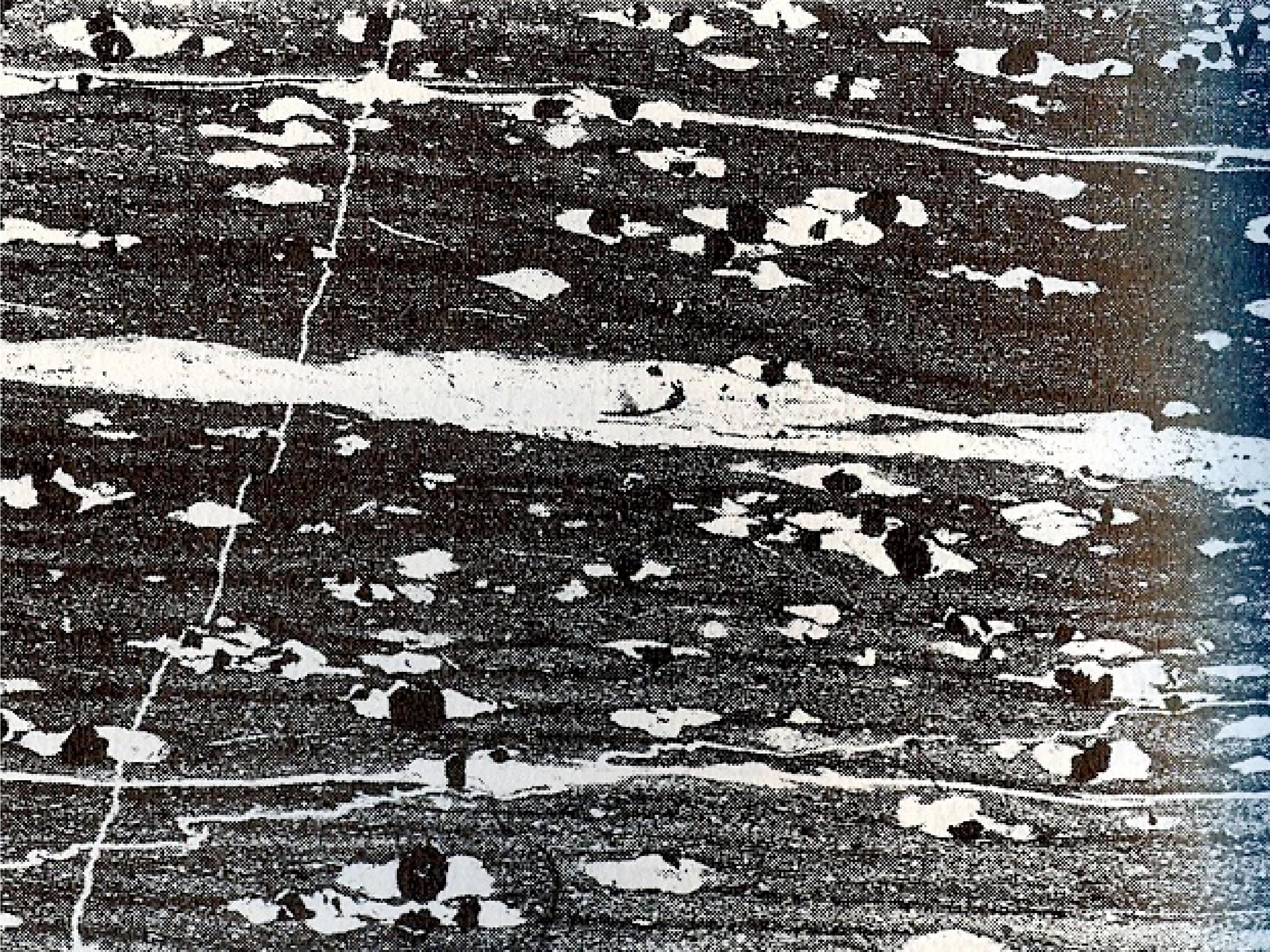 Solved Label these structures. Describe these structures in | Chegg.com