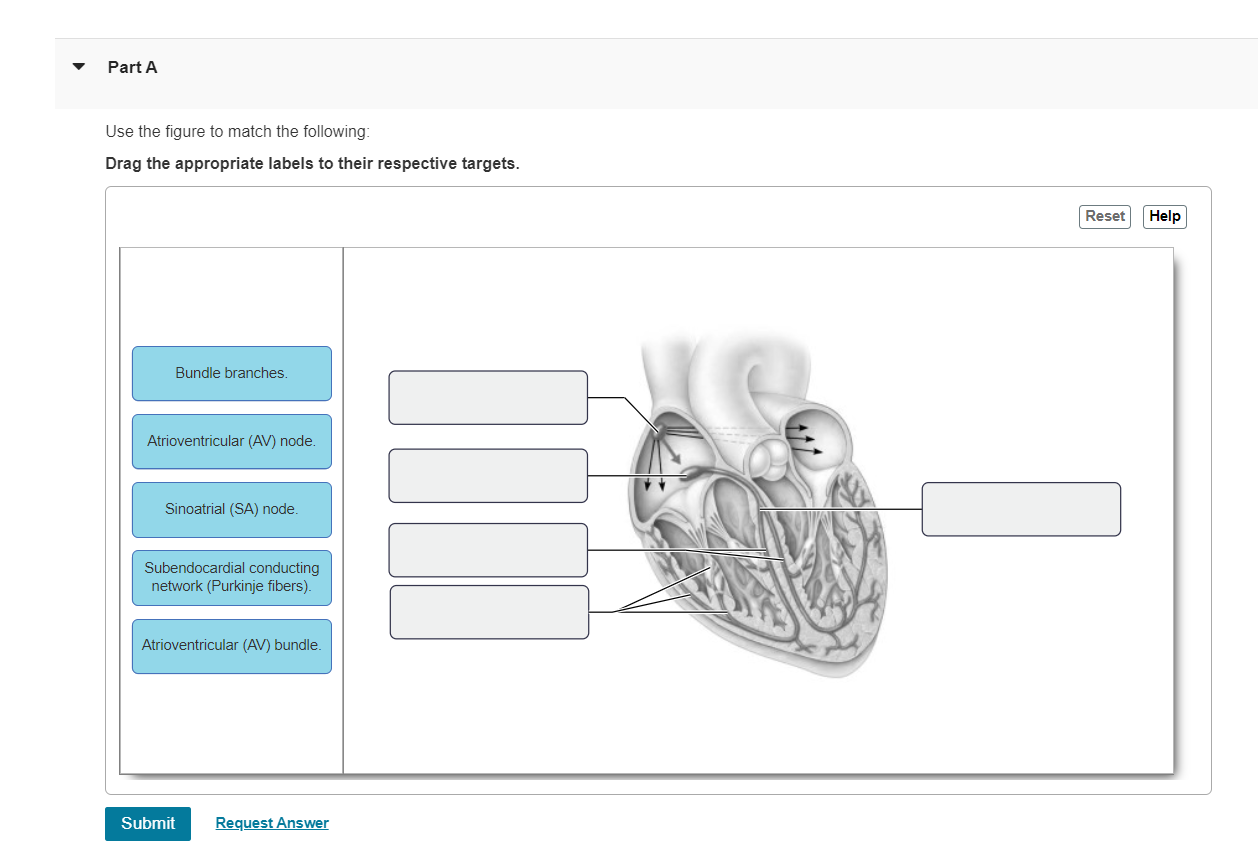 Solved Can someone please help me please with this? Thank | Chegg.com