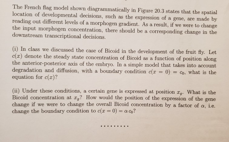 Solved The French flag model shown diagrammatically in | Chegg.com