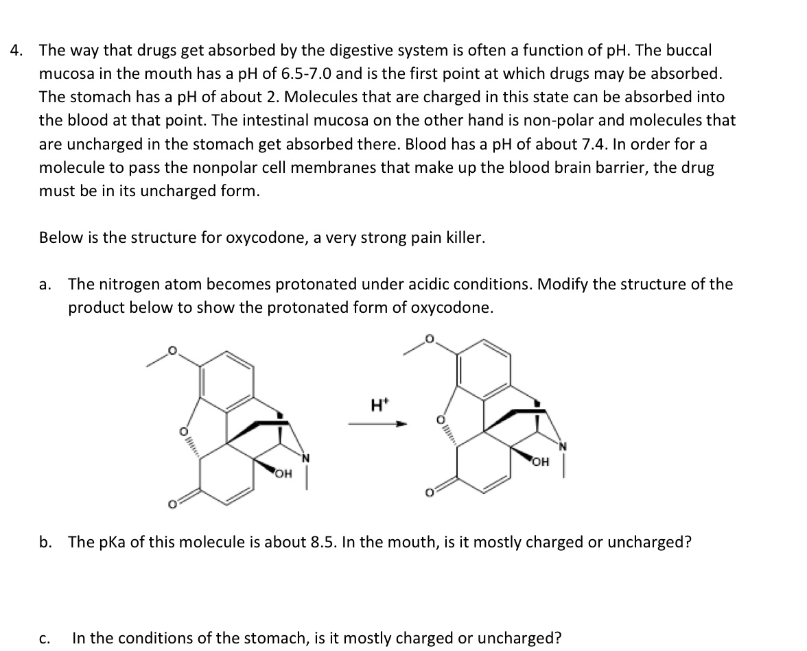 Solved The way that drugs get absorbed by the digestive | Chegg.com