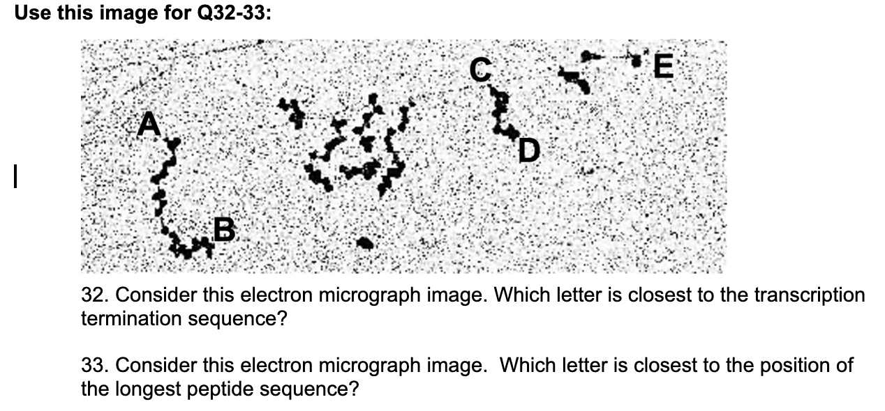 Solved Use this image for Q32-33: 32. Consider this electron | Chegg.com