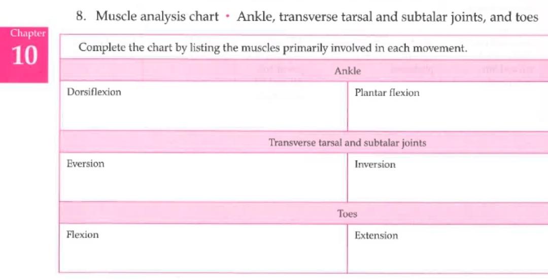 Solved 8. Muscle analysis chart · Ankle, transverse tarsal | Chegg.com
