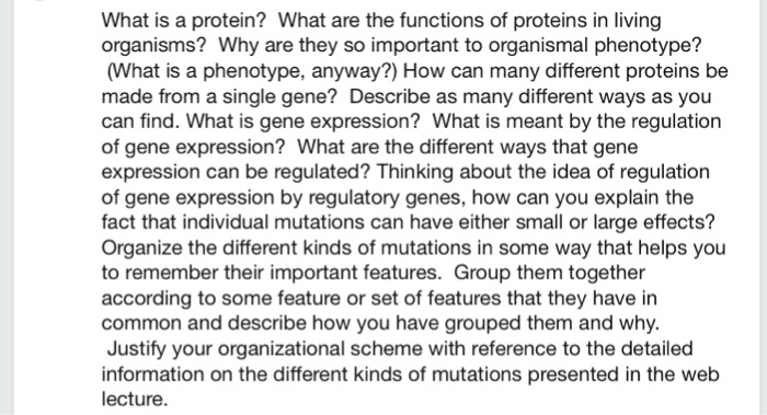 Solved What is a protein? What are the functions of proteins | Chegg.com