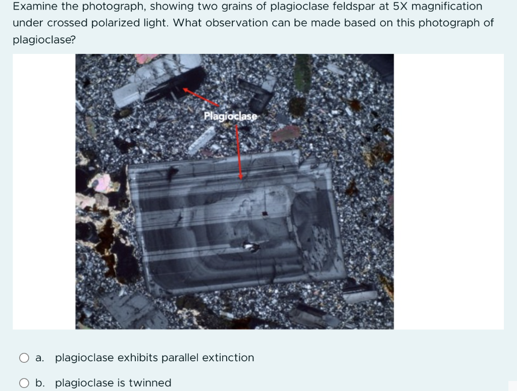 Solved Examine the photograph, showing two grains of | Chegg.com