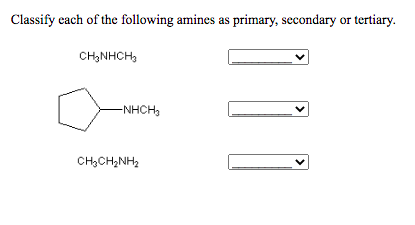 Solved Classify each of the following amines as primary, | Chegg.com