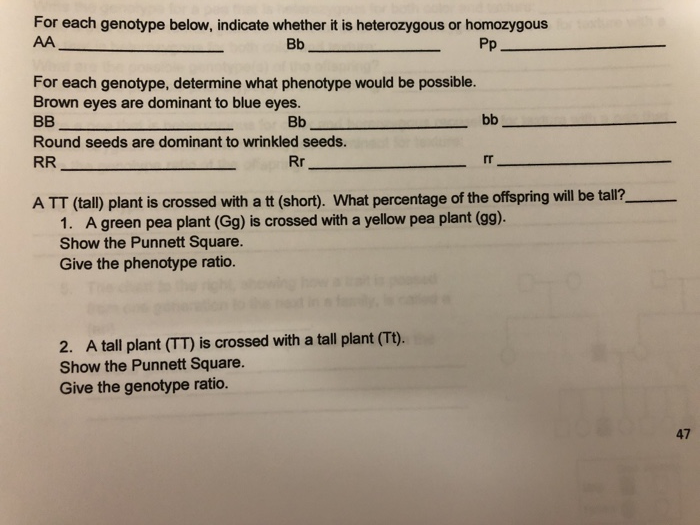Solved Name Date Lab Section Exercise 7: Genetics Match the | Chegg.com