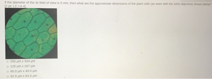 Solved If the diameter of the 4x field of view is 5 mm, then | Chegg.com