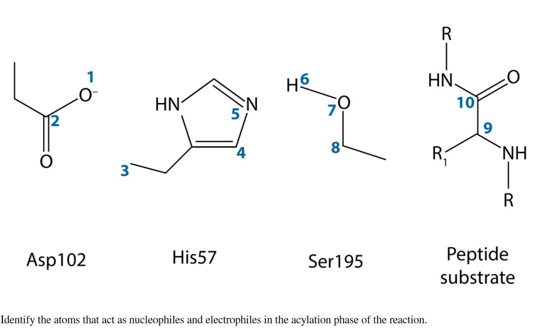 Solved Under typical conditions, many essential biochemical | Chegg.com