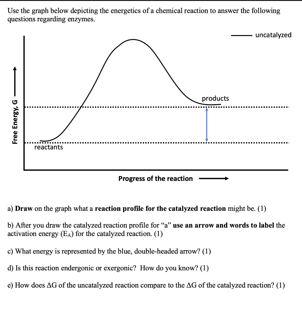 Solved Use the graph below depicting the energetics of a | Chegg.com