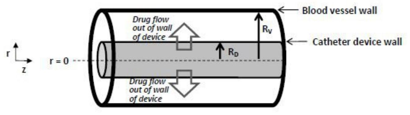 Drug delivery catheters can be used to deliver small | Chegg.com