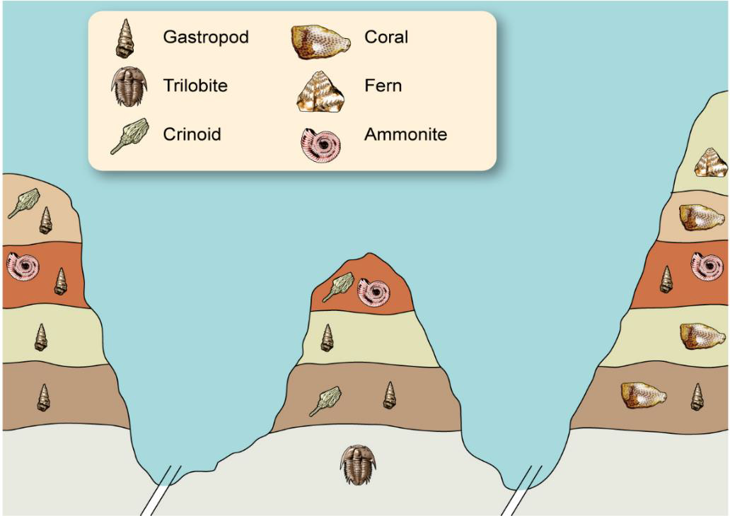 Solved Use the diagram to answer questions a-c about | Chegg.com