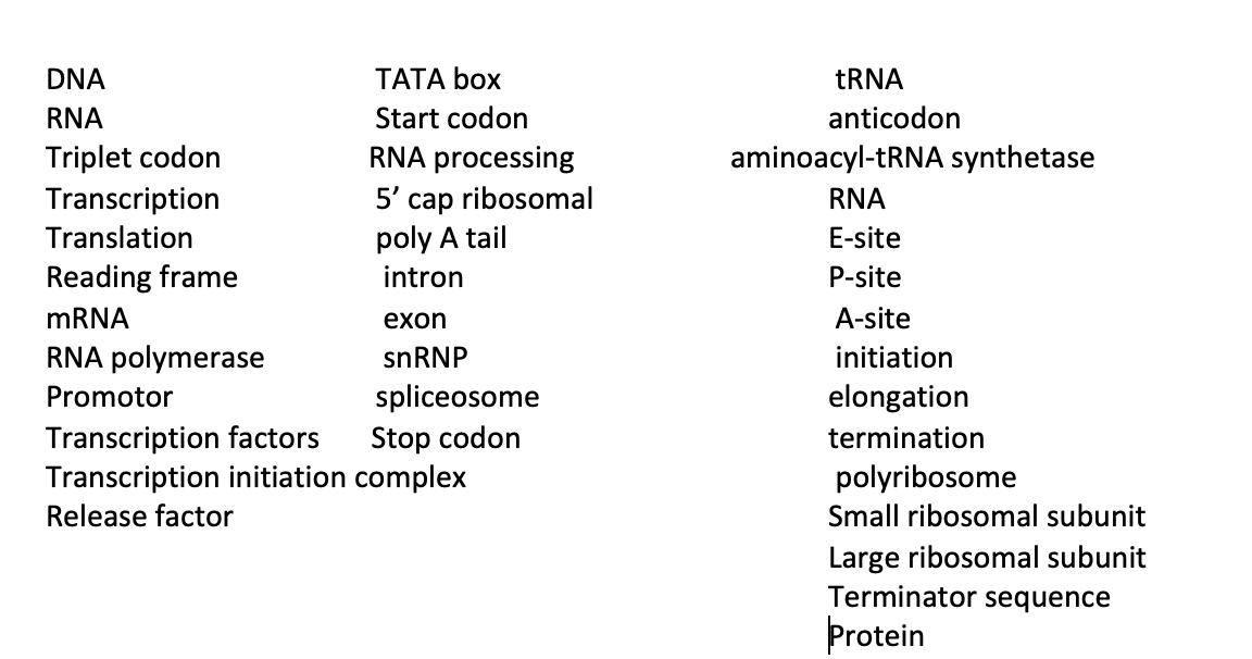 Solved DNA RNA Triplet codon Transcription Translation | Chegg.com