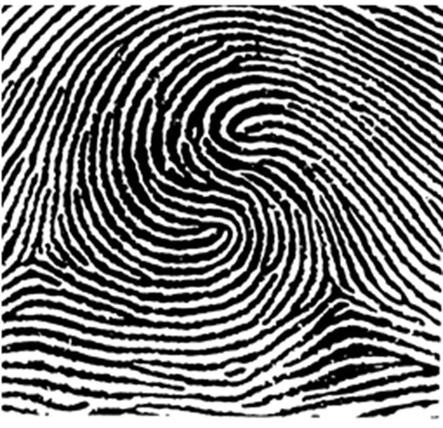 Identify the following core and delta in the | Chegg.com