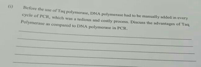 Solved fore the use of Tag polymerase, DNA polymerase had to | Chegg.com