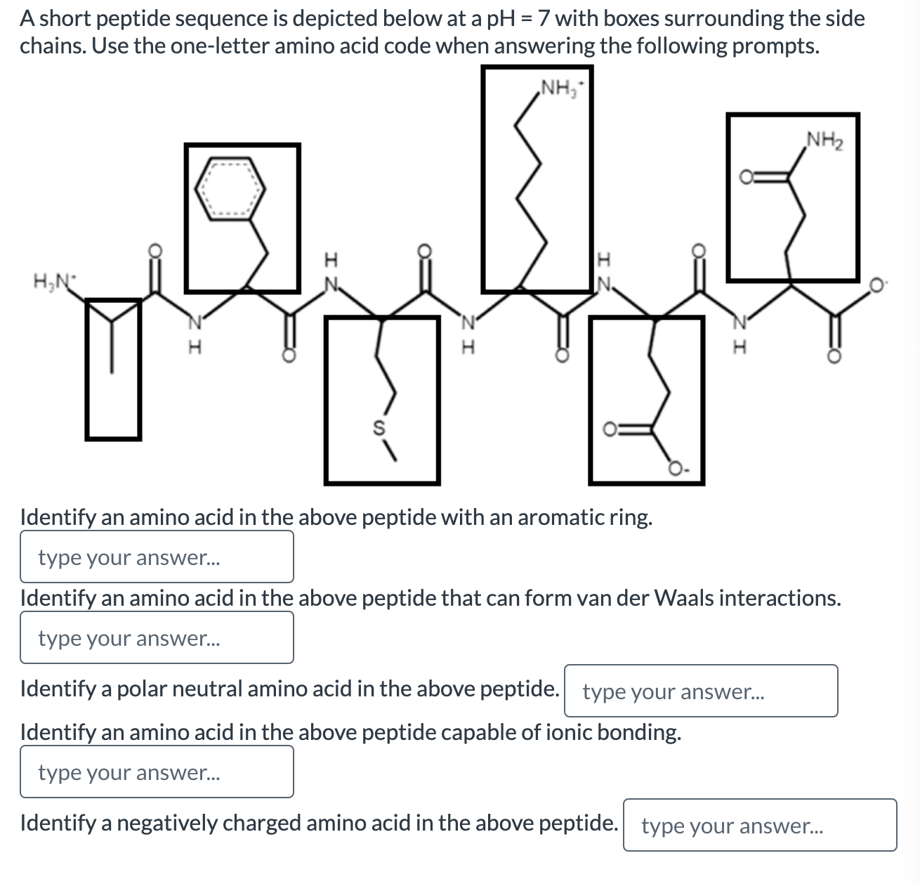 Solved A short peptide sequence is depicted below at a pH=7 | Chegg.com