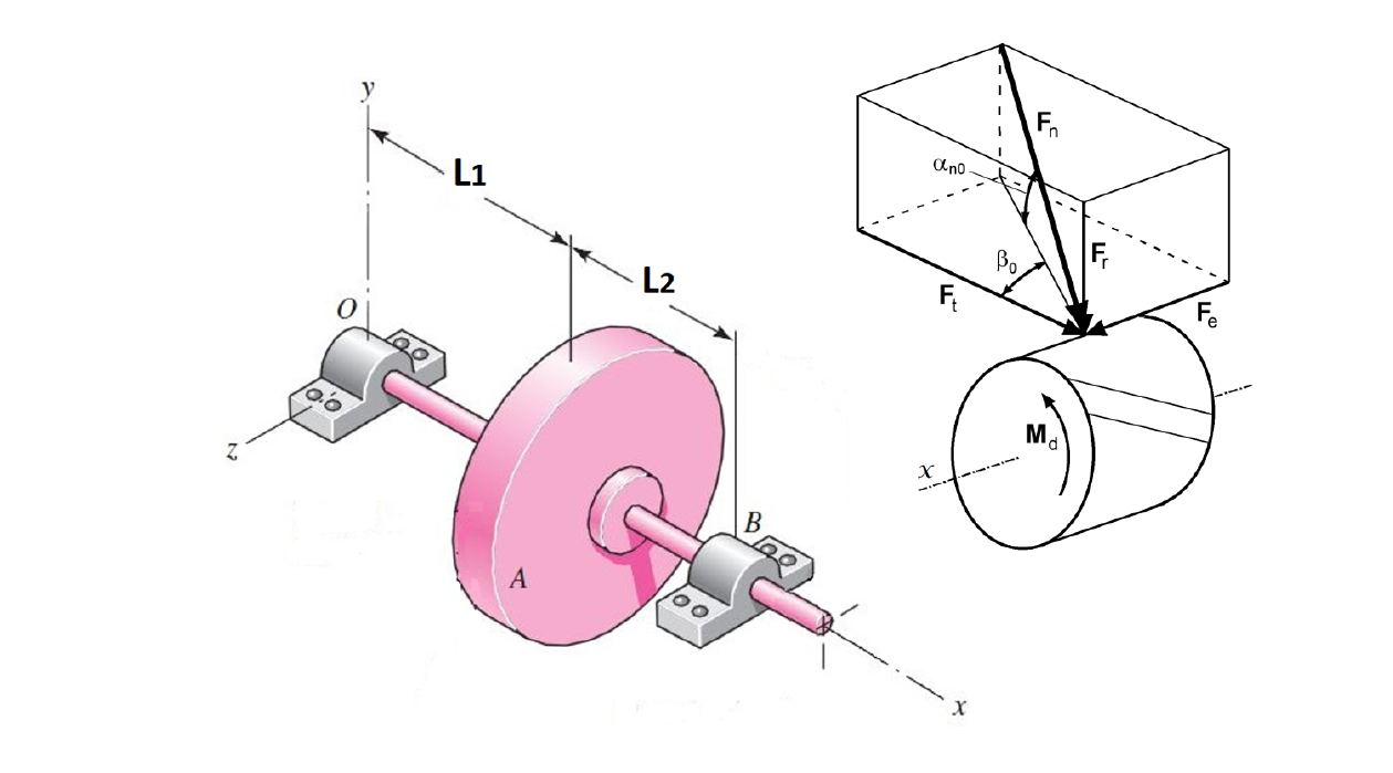 Solved Bearing Selection The bearing of the shaft will be | Chegg.com