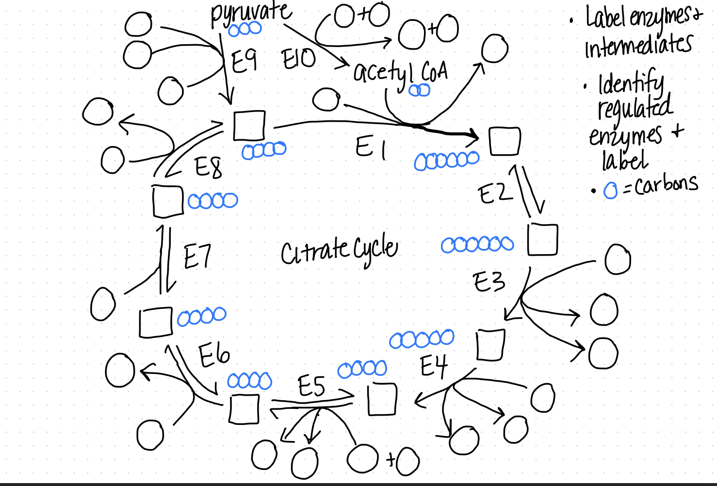 Solved Use this CAC Pathway to fill-in reactions, substrates | Chegg.com
