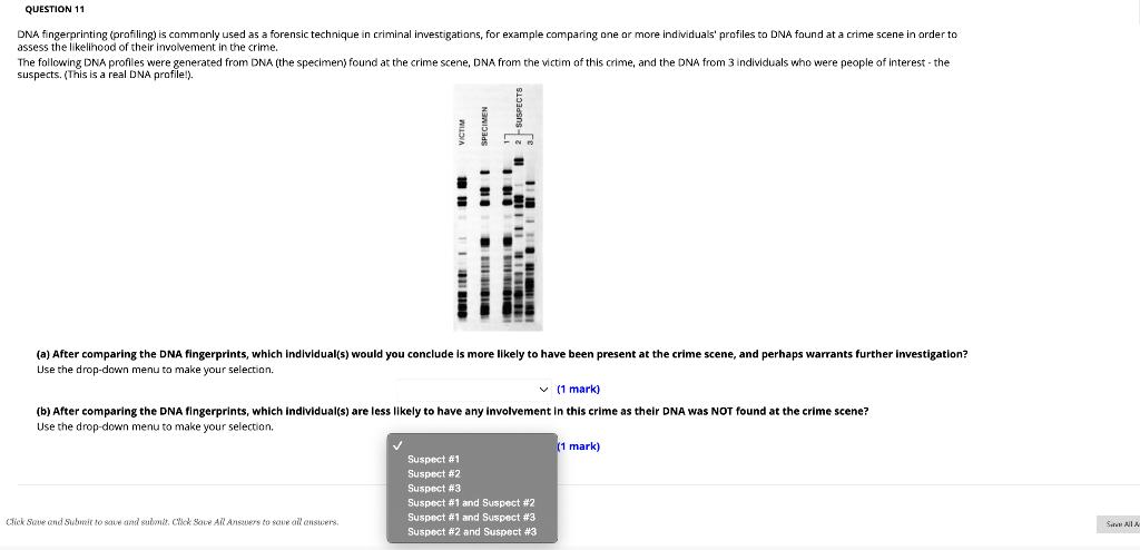 Solved QUESTION 11 DNA fingerprinting 8 (profiling) is | Chegg.com